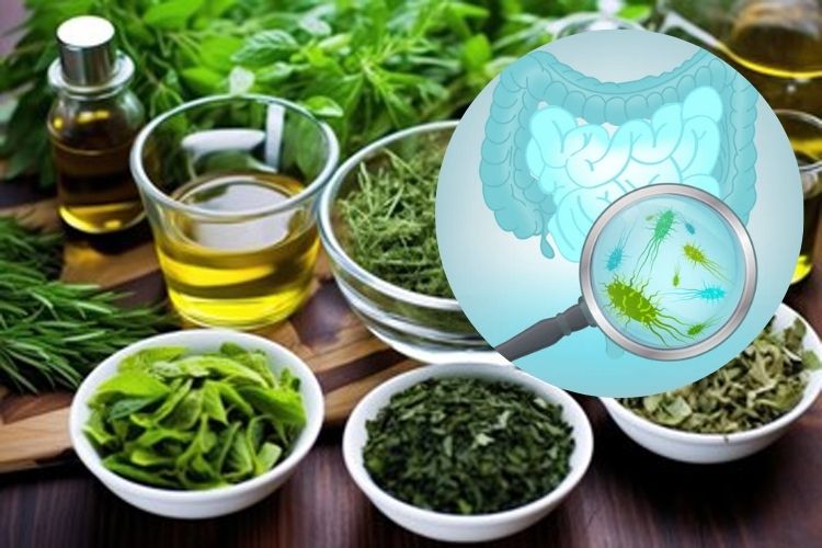 9 Remedios Naturales Para Parásitos Y Lombrices Intestinales